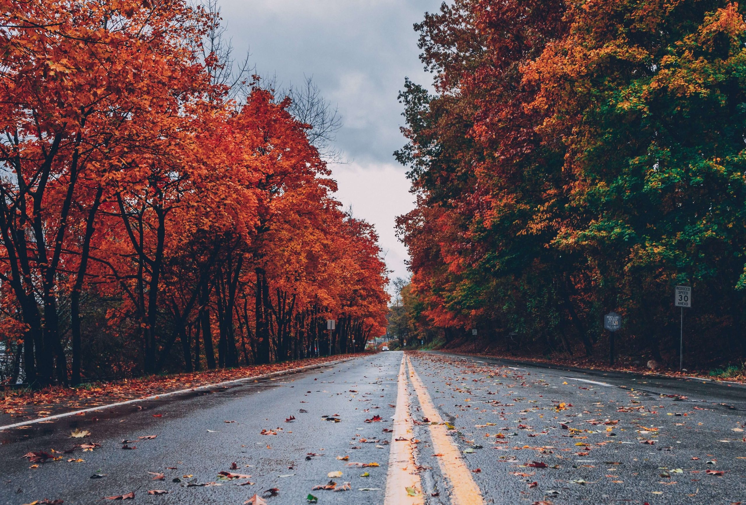 Autumn Driving Safety Tips - Adjusting Your Driving Habits